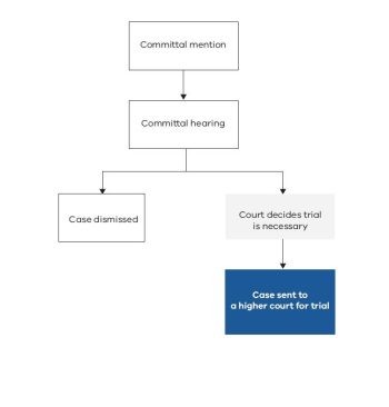 Types of Hearings in Criminal Proceedings - VICTORY LAW